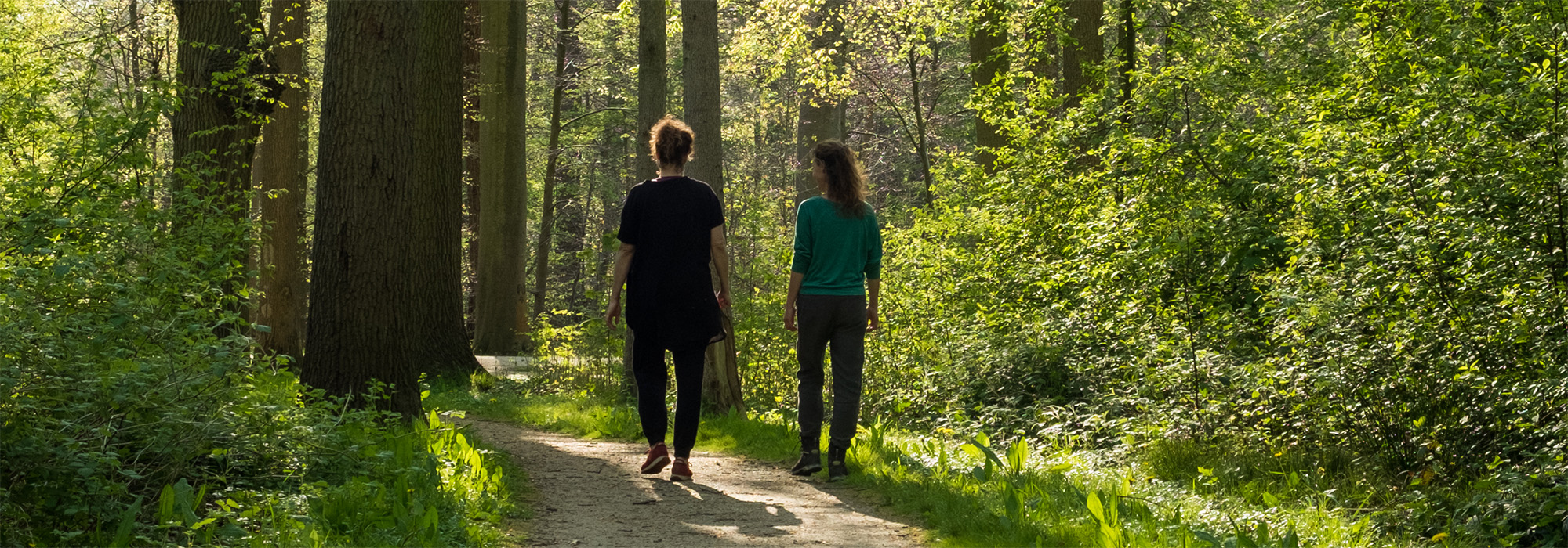 Wandelcoaching in Utrecht | Tot rust komen in beweging